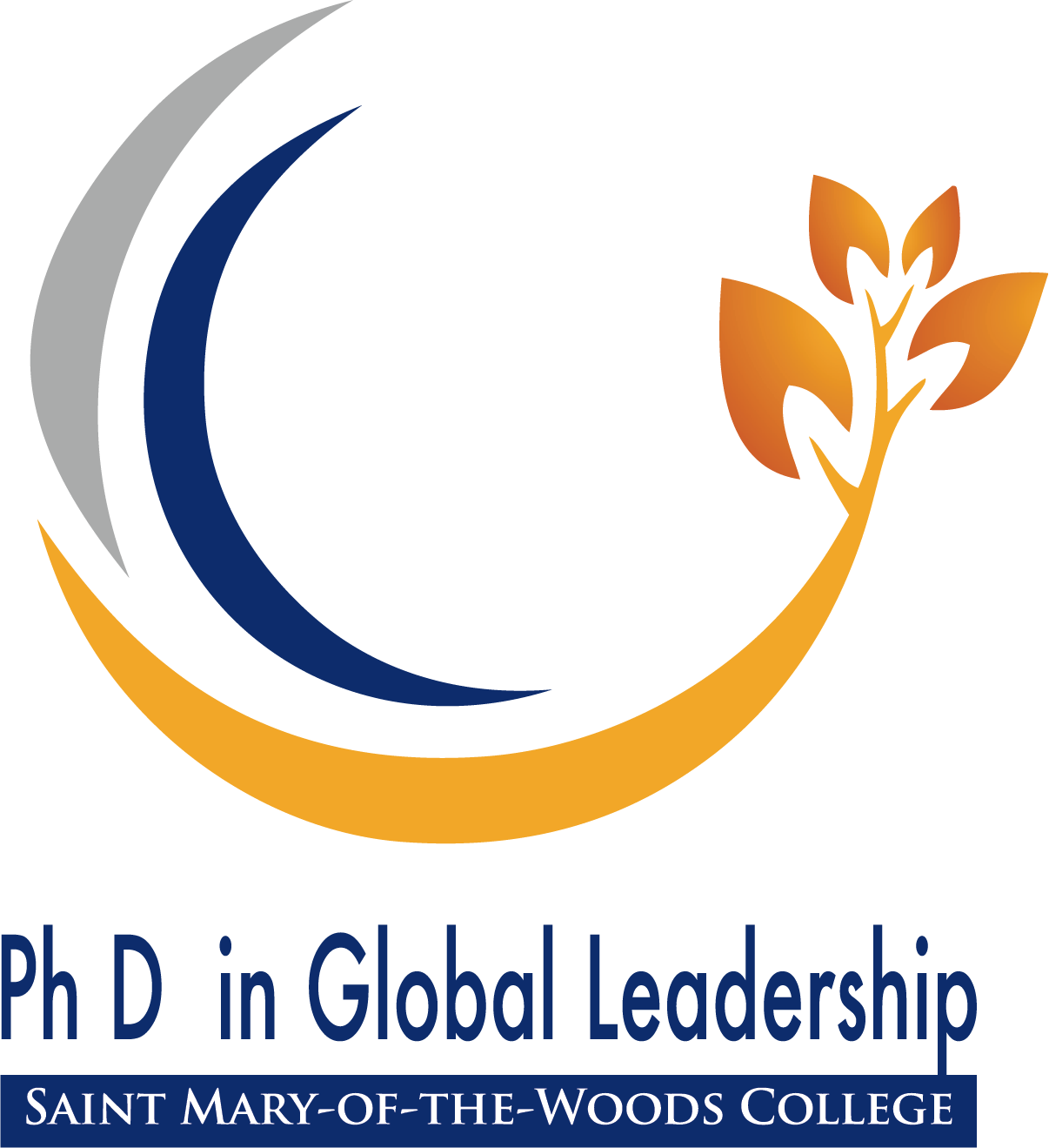 SMWC adds new Business Administration concentration for Ph.D. in Global ...