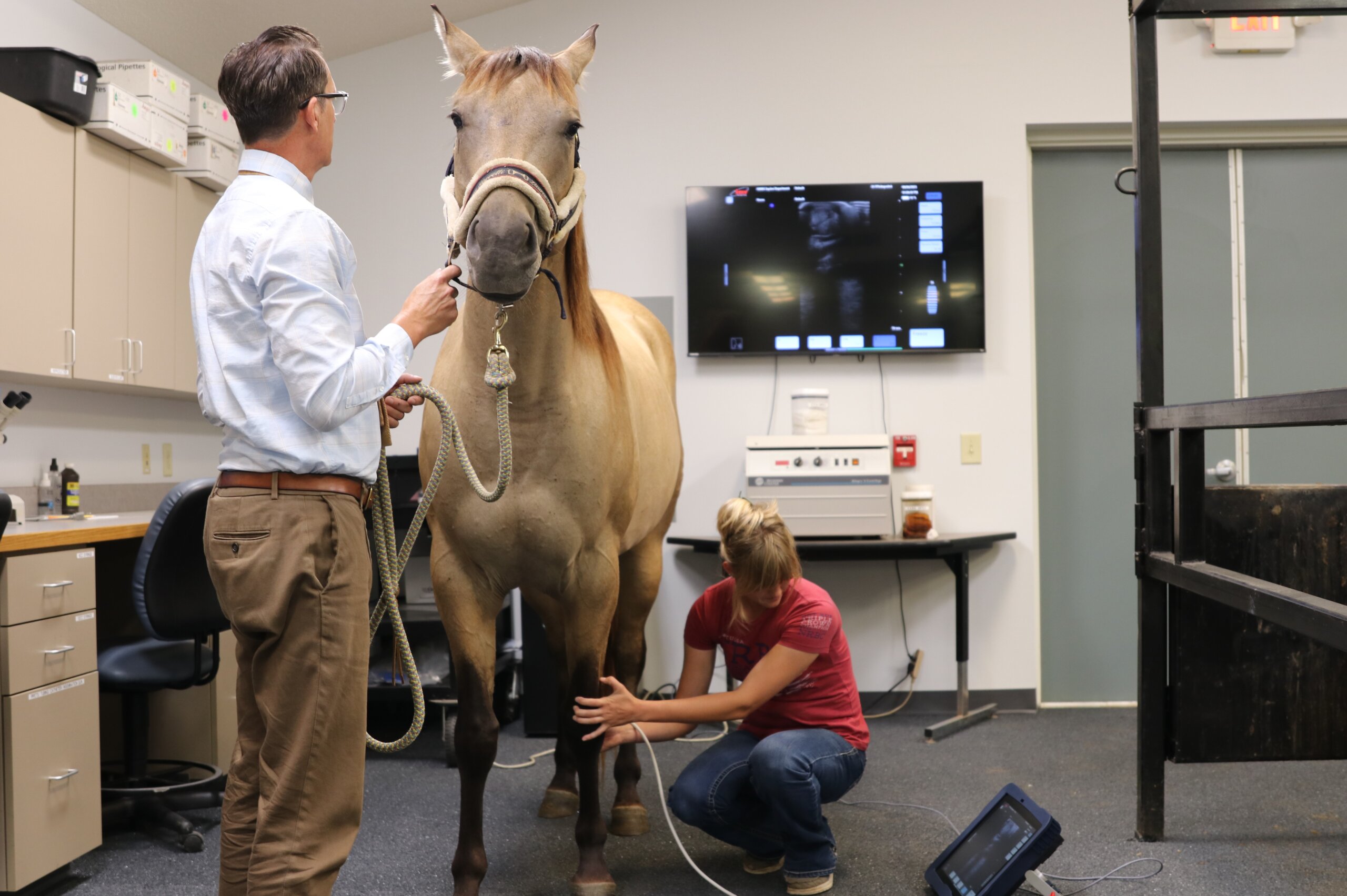 SMWC adds Master’s Program in Equine Science - SMWC