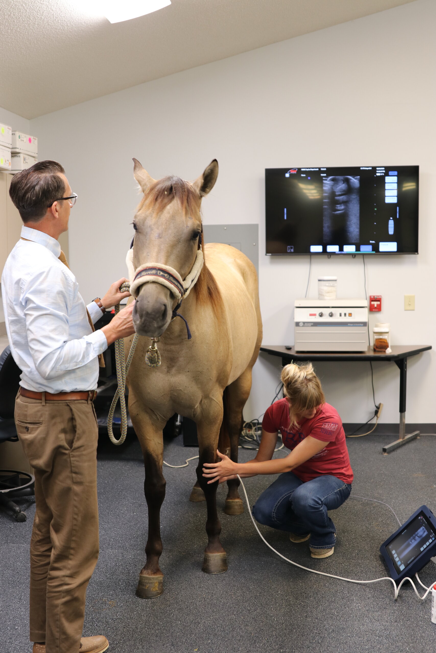 SMWC adds Master’s Program in Equine Science - SMWC